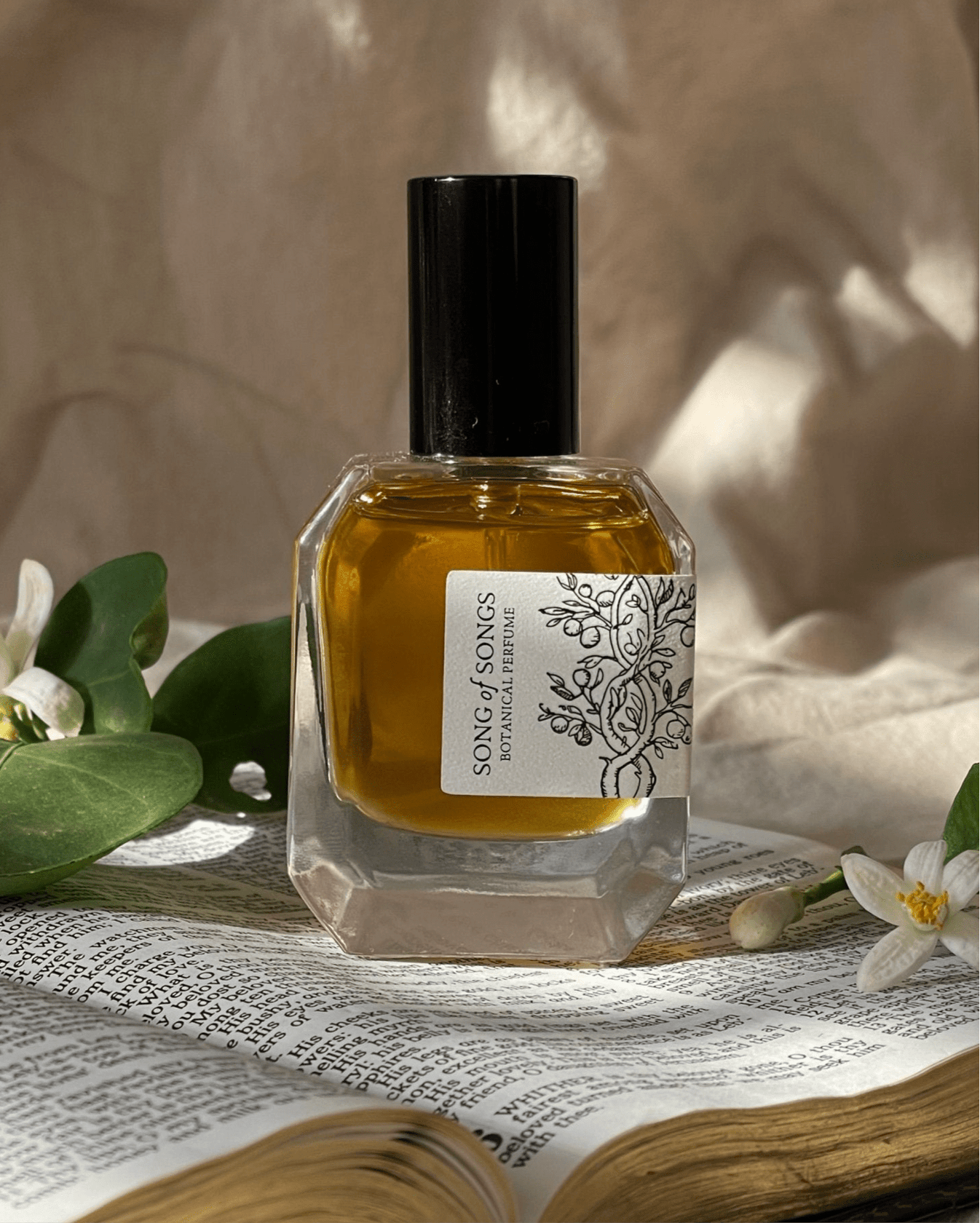 Biblical Perfume Songs of Solomon – Hosanna Aroma